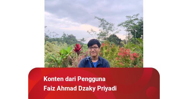 Keindahan Hutan Pinus Mangunan | kumparan.com